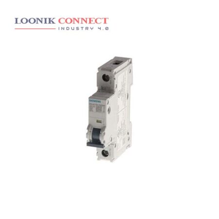 Siemens 2A 2 Pole Miniature Circuit Breaker (5SL42027RC, White ...